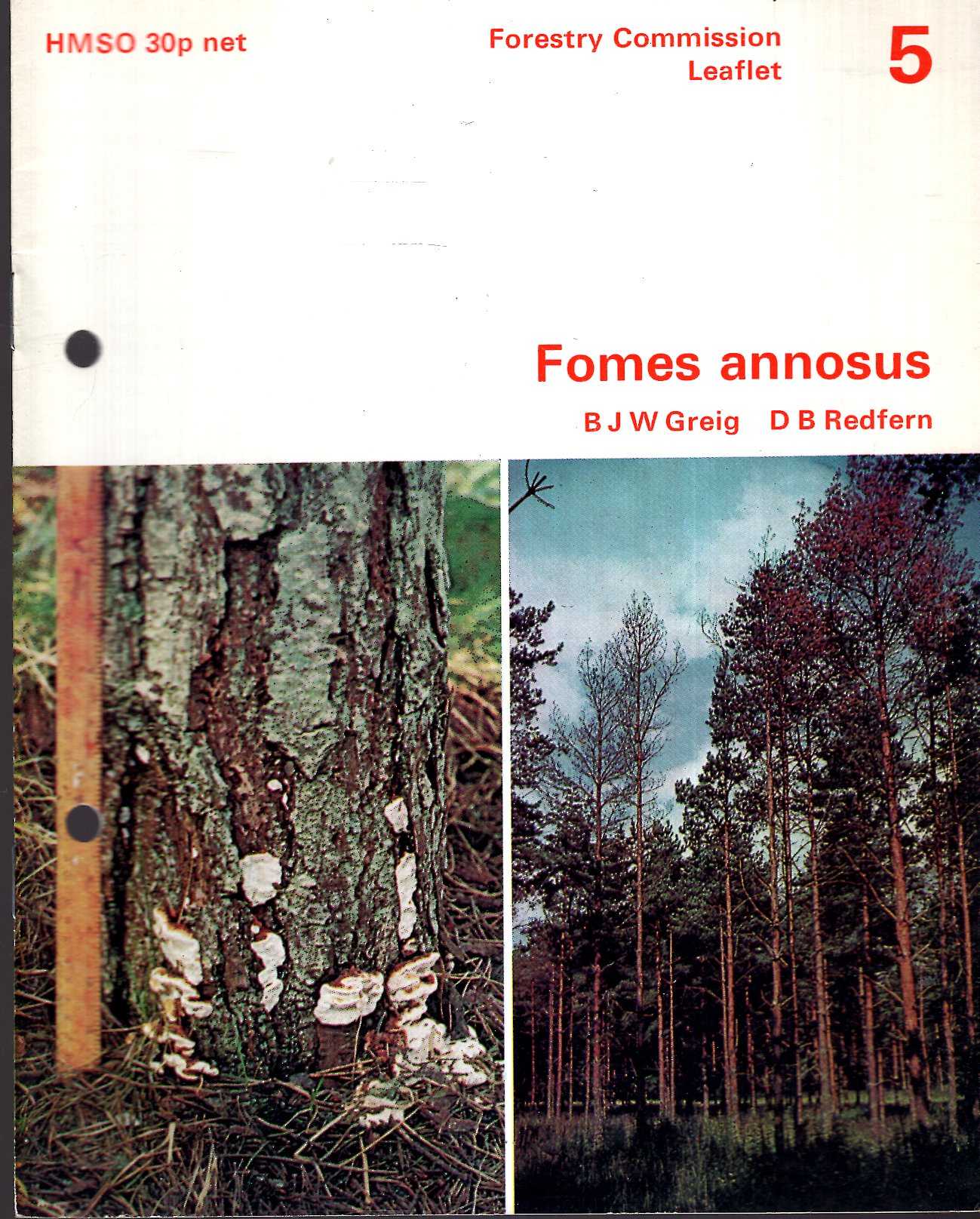 Forestry Commission Leaflet No21 : Leaf Cast of Larch Meria laricis