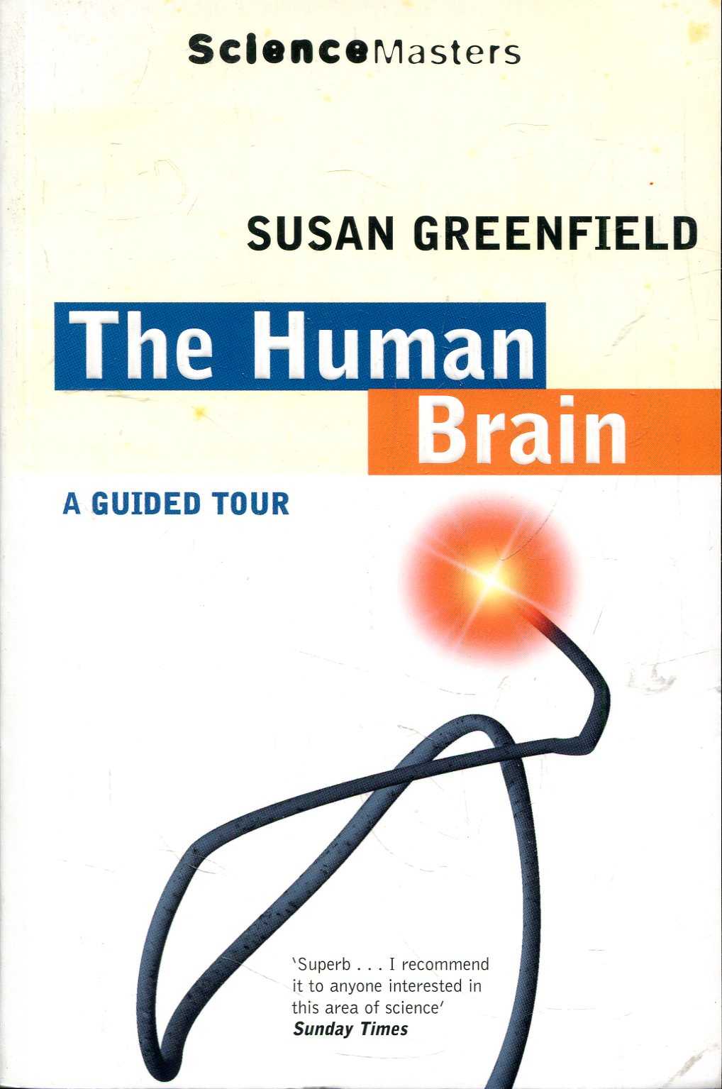The Functions of the Brain The Functions of the Brain