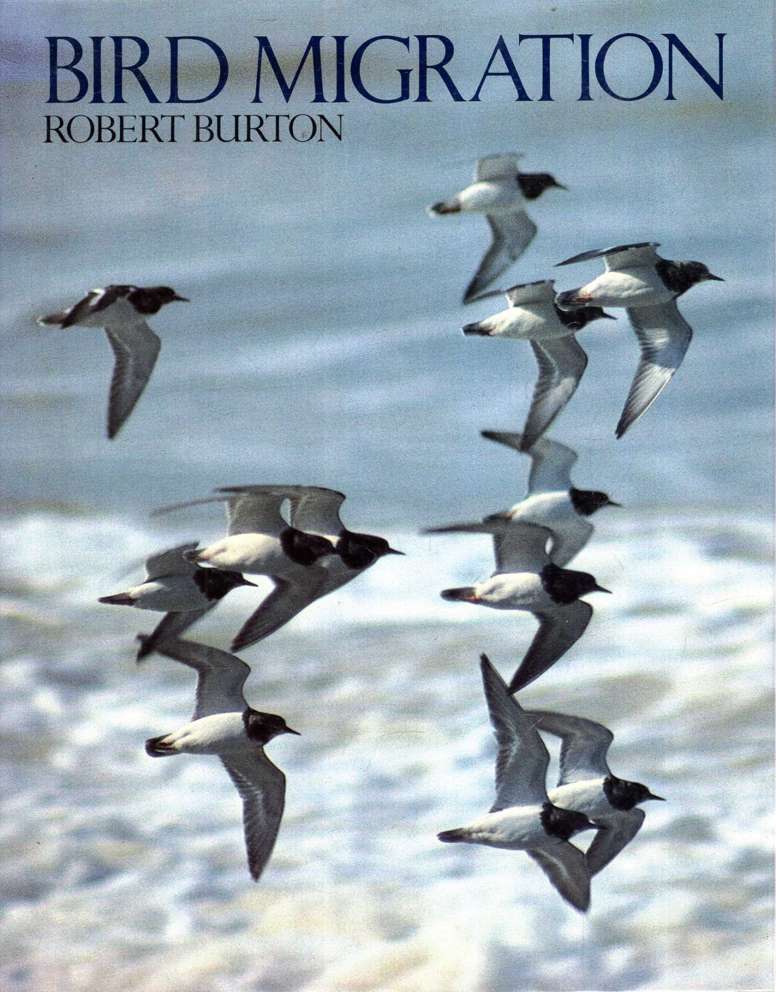 Bird Migration