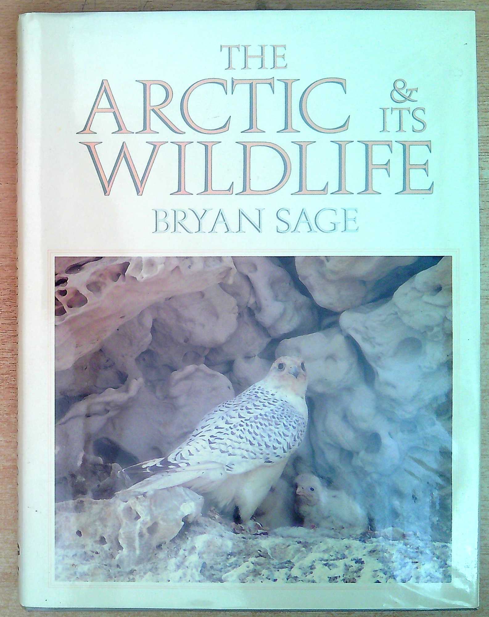 The Arctic and Its Wildlife