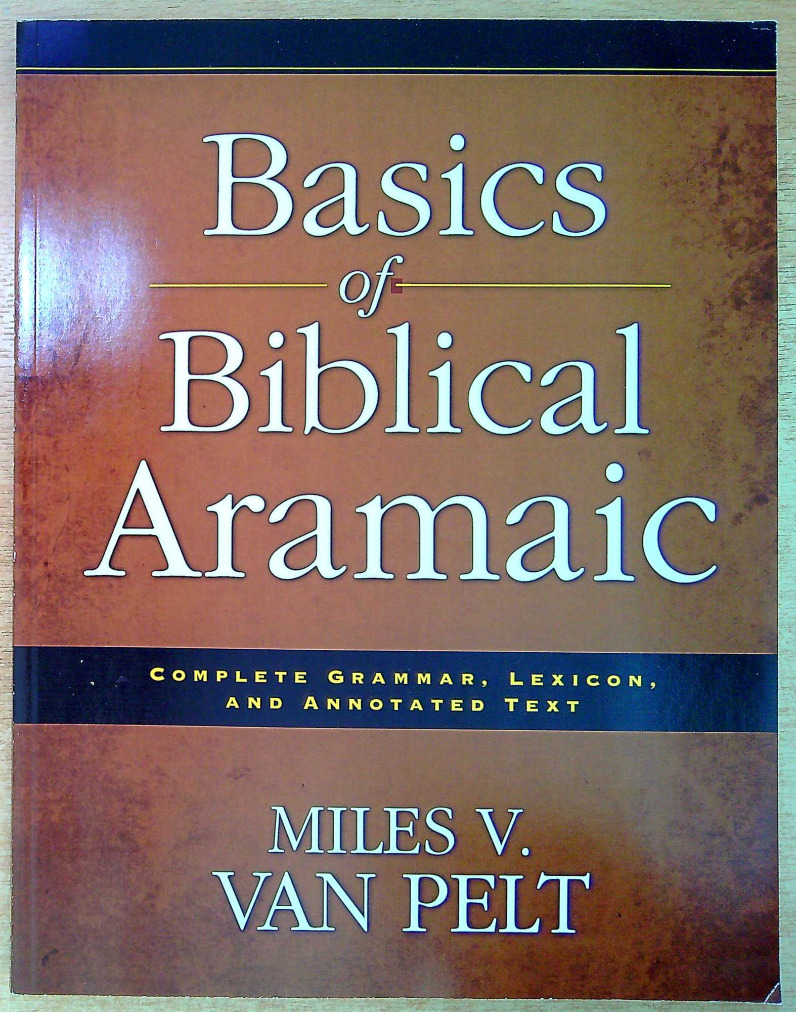 Basics of Biblical Aramaic: Complete Grammar, Lexicon, and Annotated Text